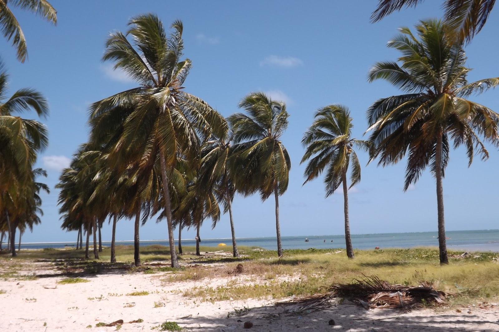 IGARASSU: Patrimônio de Pernambuco: DOMINGO É DIA DE PRAIA EM IGARASSU