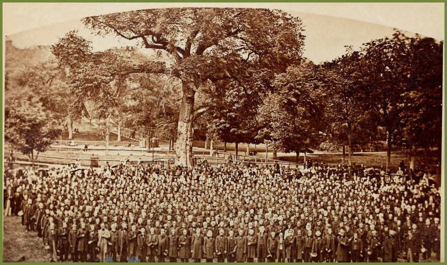 State Library of Massachusetts: The Great Elm on Boston Common
