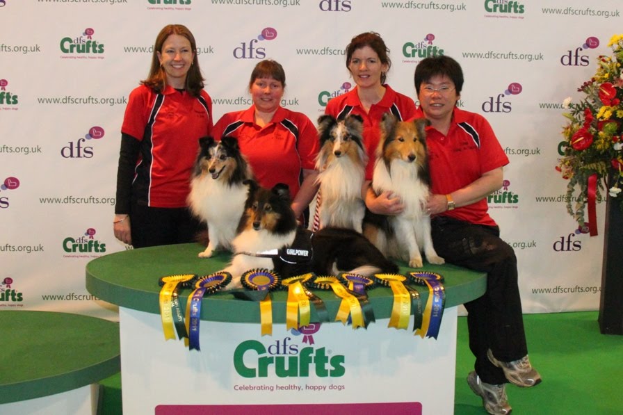 OBay Shelties: Crufts Part 2: ESSC Sheltie team