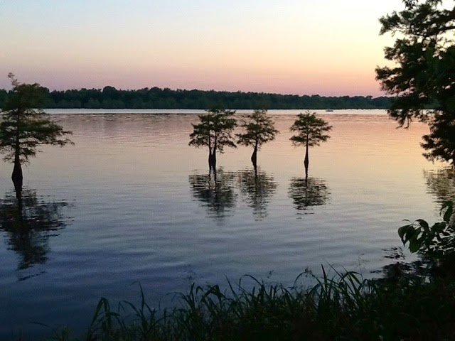 On the Road: Lake Chicot State Park, Arkansas
