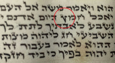 פורום לנושאי סת"ם: ירך צד"י פשוטה