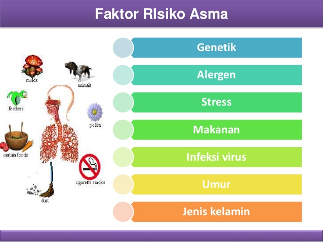Penyakit Asma - Gejala, penyebab dan mengobati nya ~ Welcome To My Blog