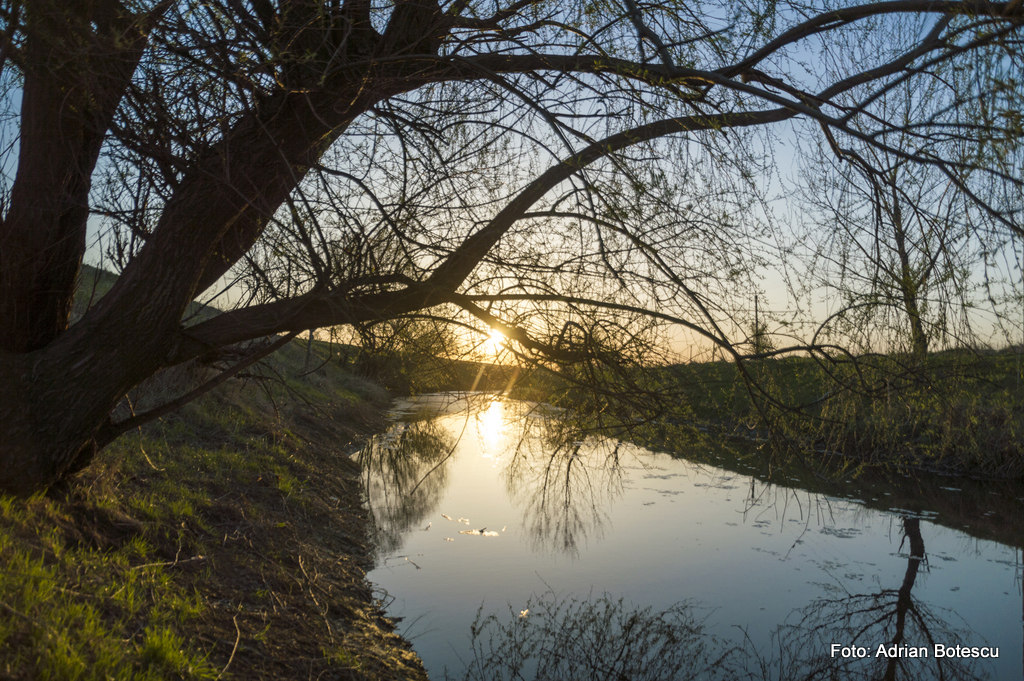 Poveştile mele: Locuri de vizitat in Bucuresti – Lacul Morii si ...