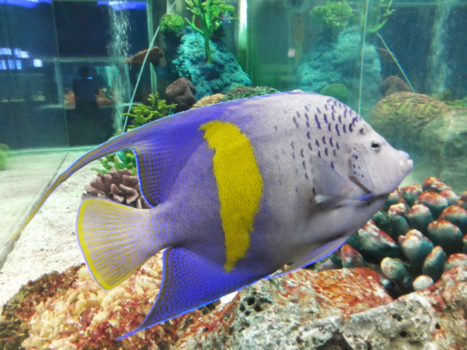 เทคโนโลยีการศึกษา