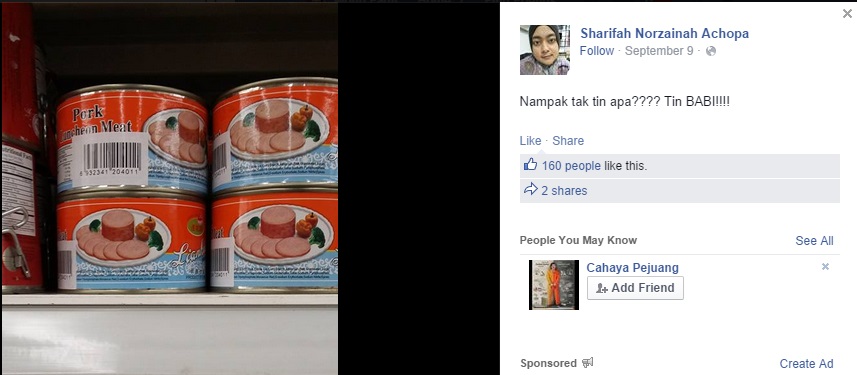 TENGOK TU, TIN BABI ! HANYA DI TESCO ! - Gadis Dedah Pasaraya Tesco ...