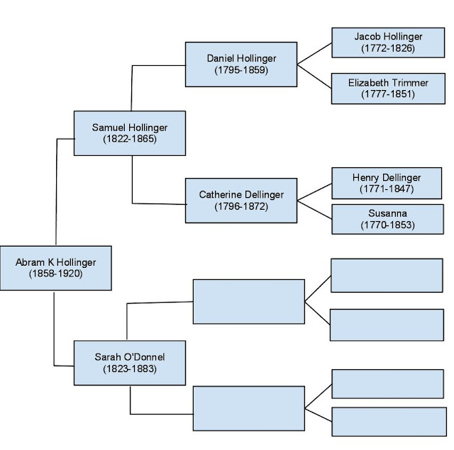 James Begat Wilmer: The Hollinger Family Tree