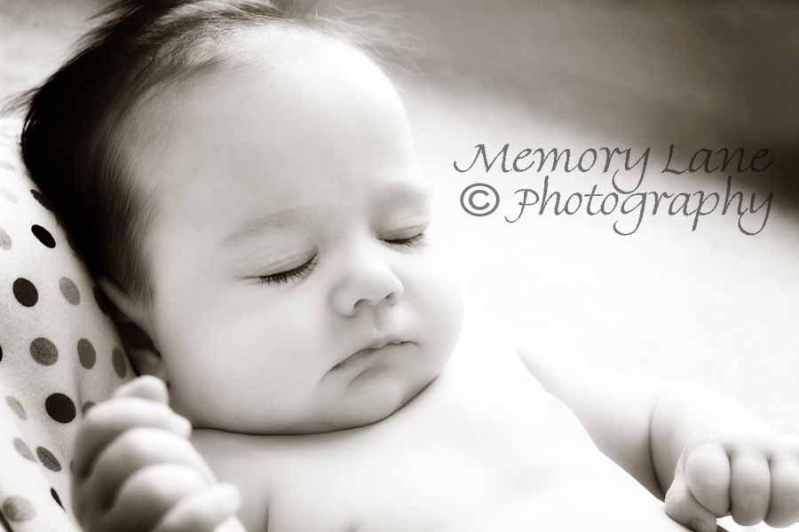 Memory Lane Photography