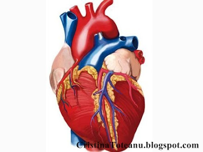 Medicine is the applied science or practice of the diagnosis, treatment ...