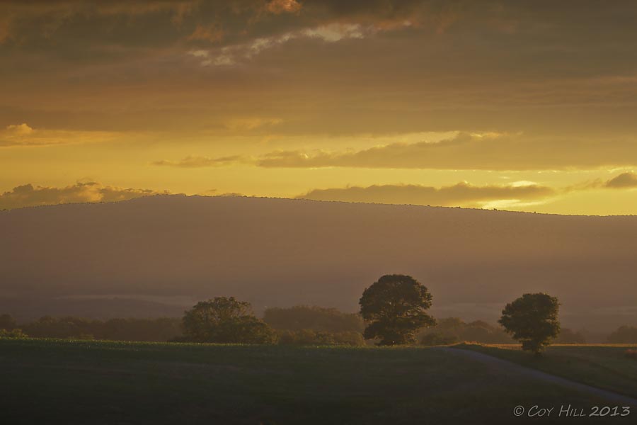 Country Captures: Summer Scenes