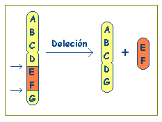 Embriología: VARIACIONES CROMOSÓMICAS ESTRUCTURALES