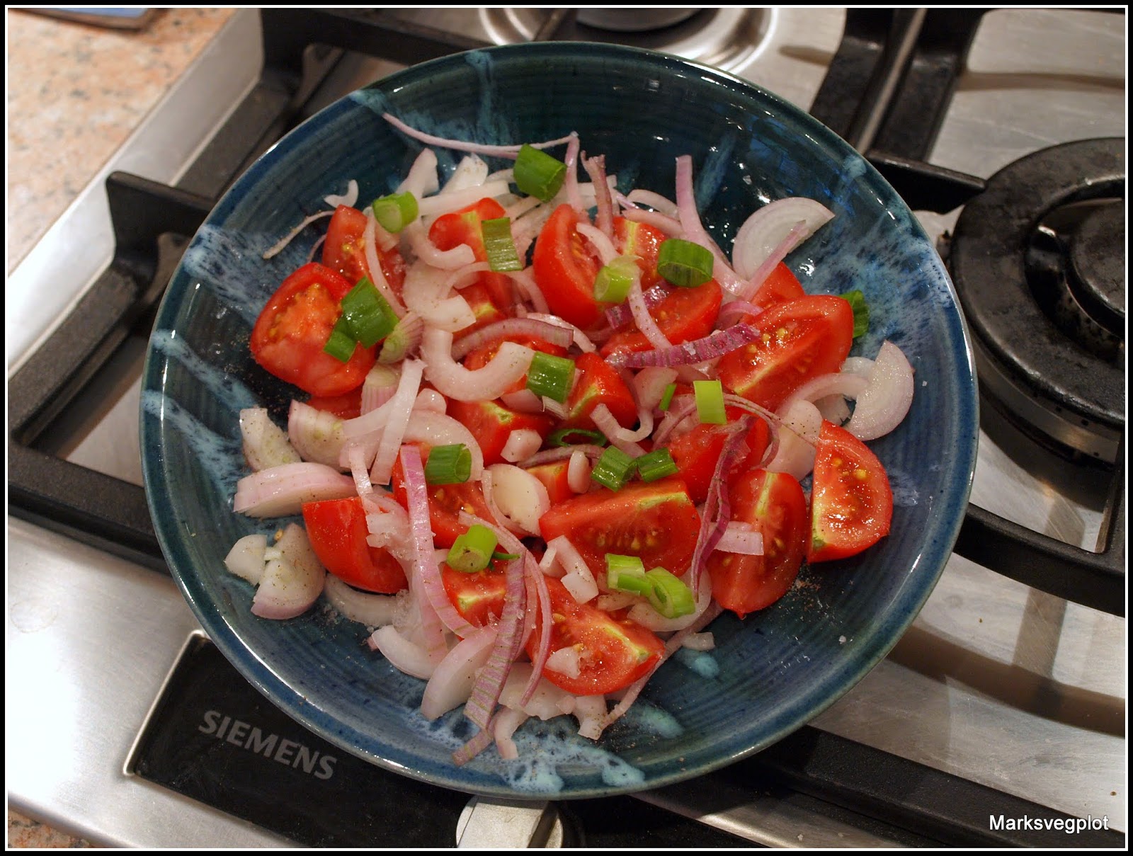 Mark's Veg Plot: Onion "Long Red Florence"