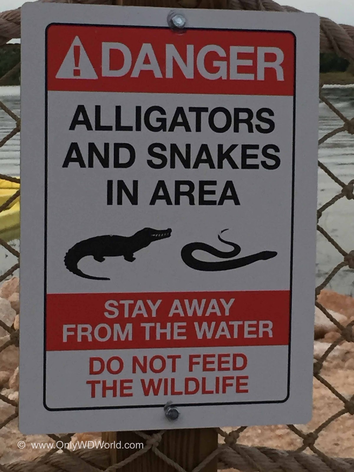 Disney World Dangerous Wild Animal Awareness Changes | Disney World ...