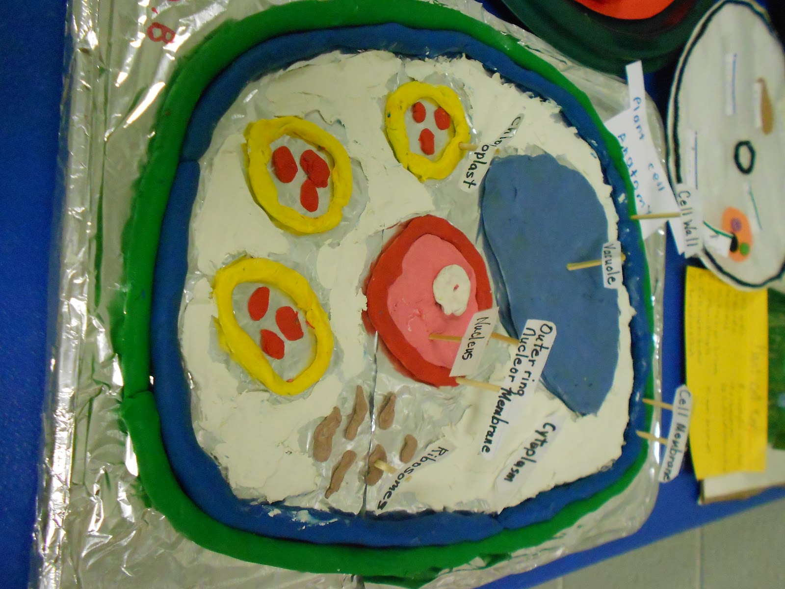 Mrs. McDonald's 4th Grade: Make a Cell Model Project