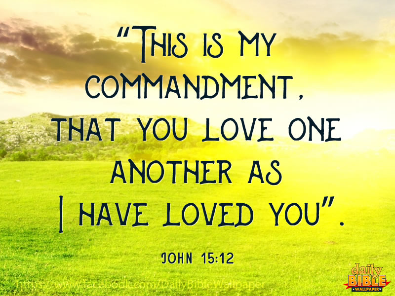 Love one another as I have loved you | Daily Bible Wallpaper | Free ...