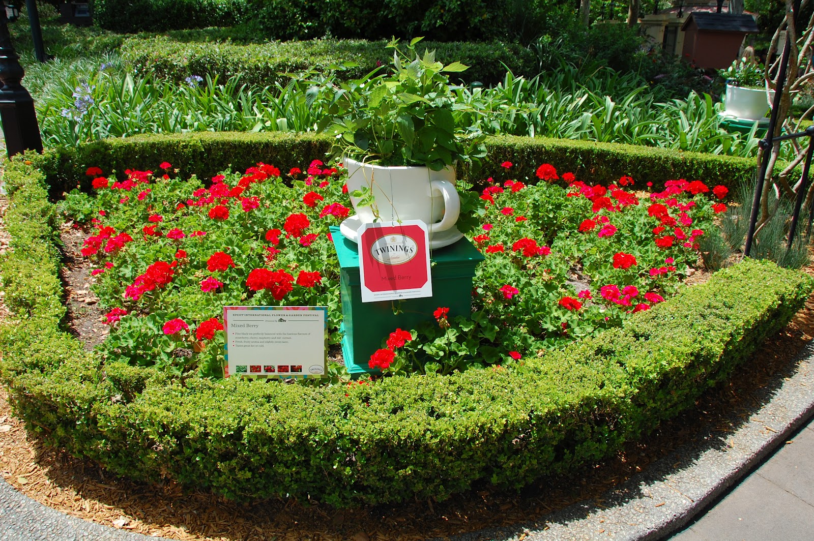 Disney Sisters: English Tea Garden and Tour in Epcot at Walt Disney World