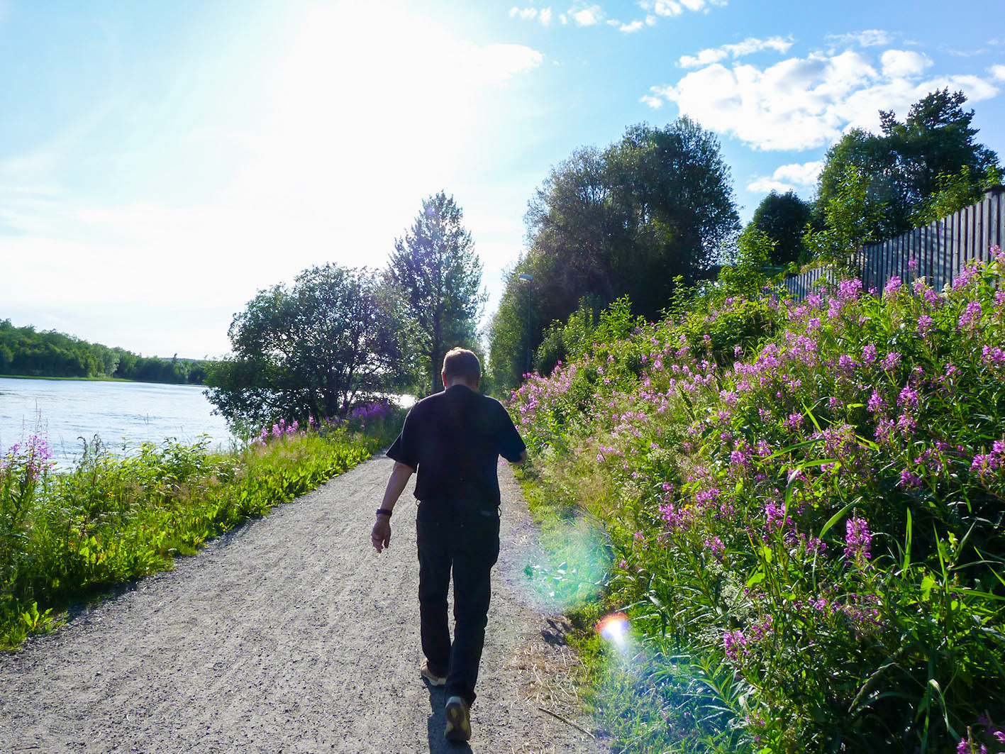 The Art Of Healthful Walking |Blissful Solitary Wanderings