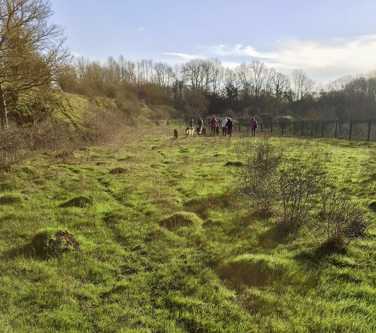 Riddlesdown Quarry, December 2015 | Naturally