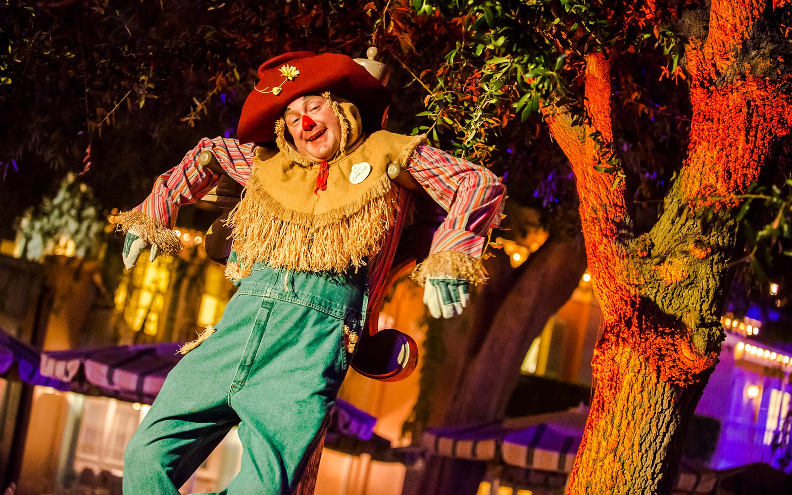 Snapshots from a Halloween Party