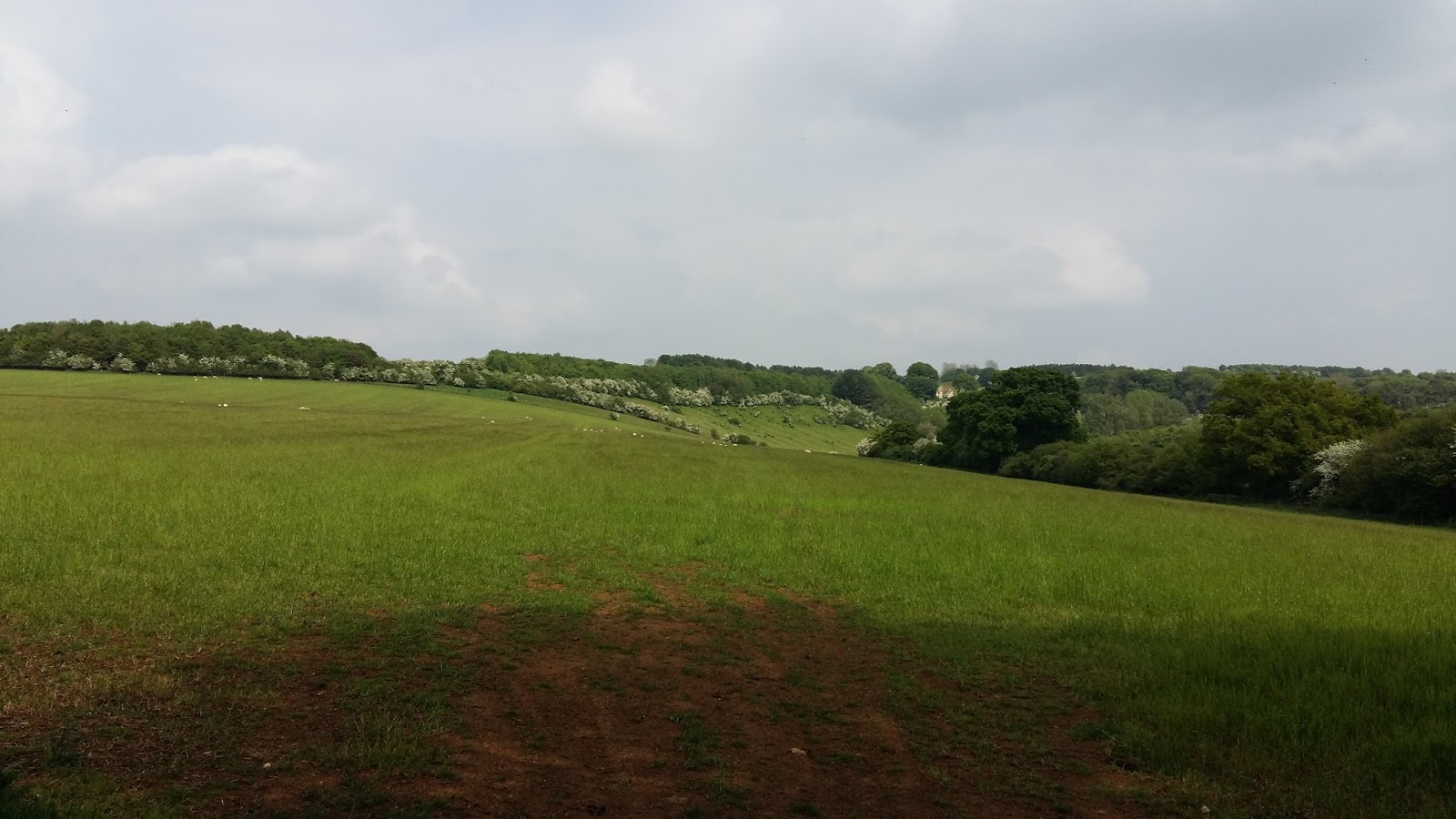 Cotswolds Travel: Shipton Oliffe & Withington Circular