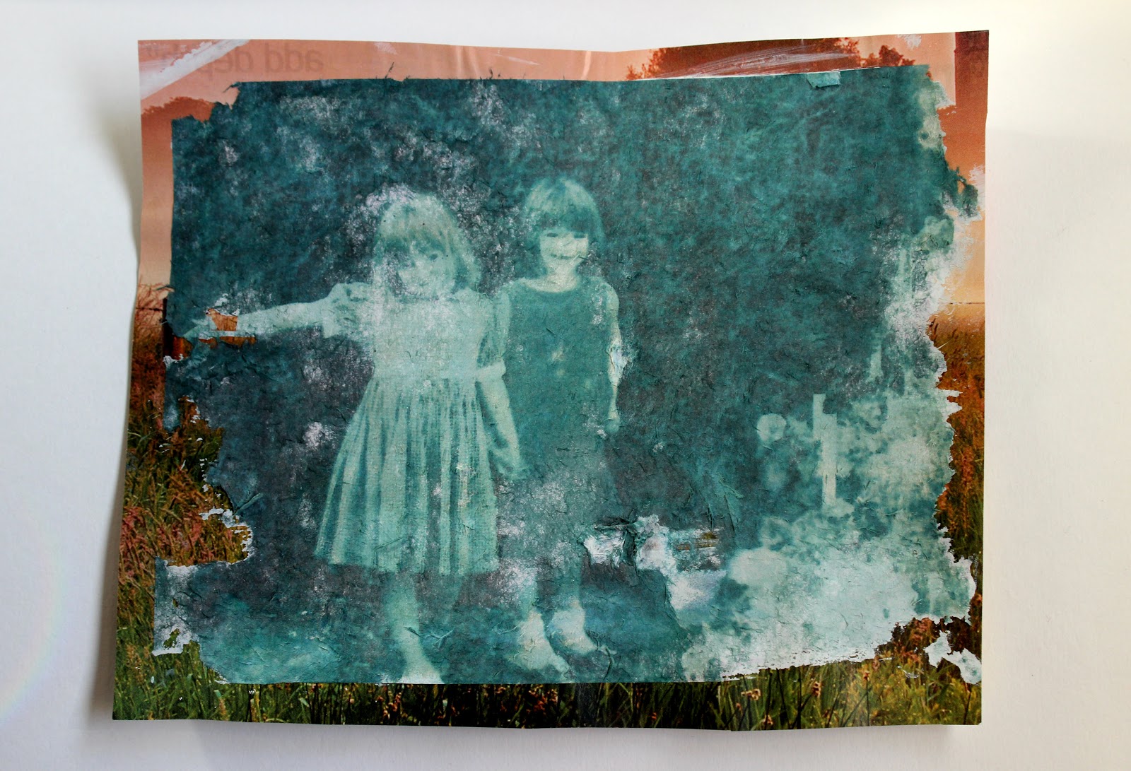 Emily's Photography Blog: Emulsion Transfers