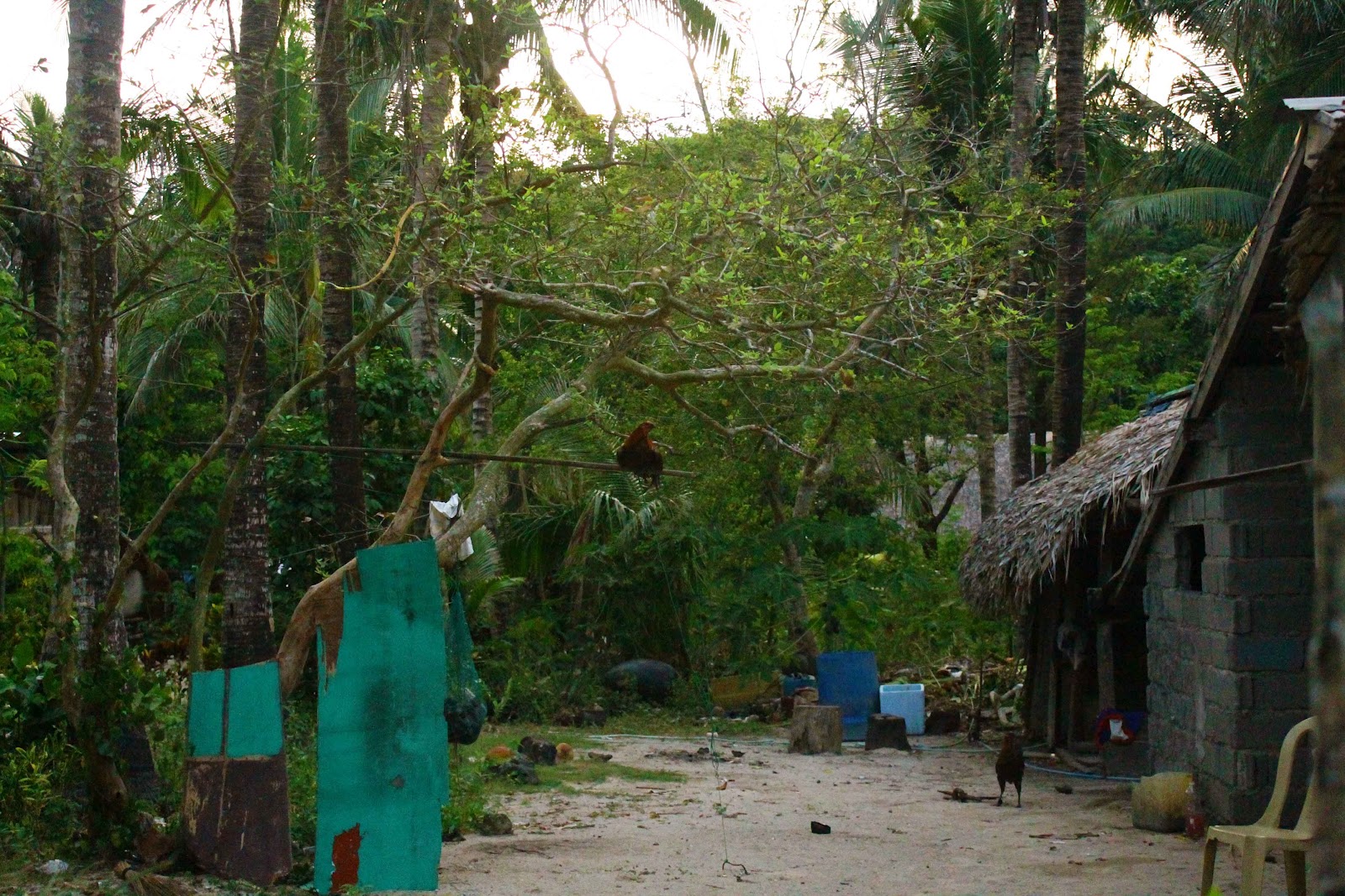 Cagayan Valley : How to Get to Palaui Island