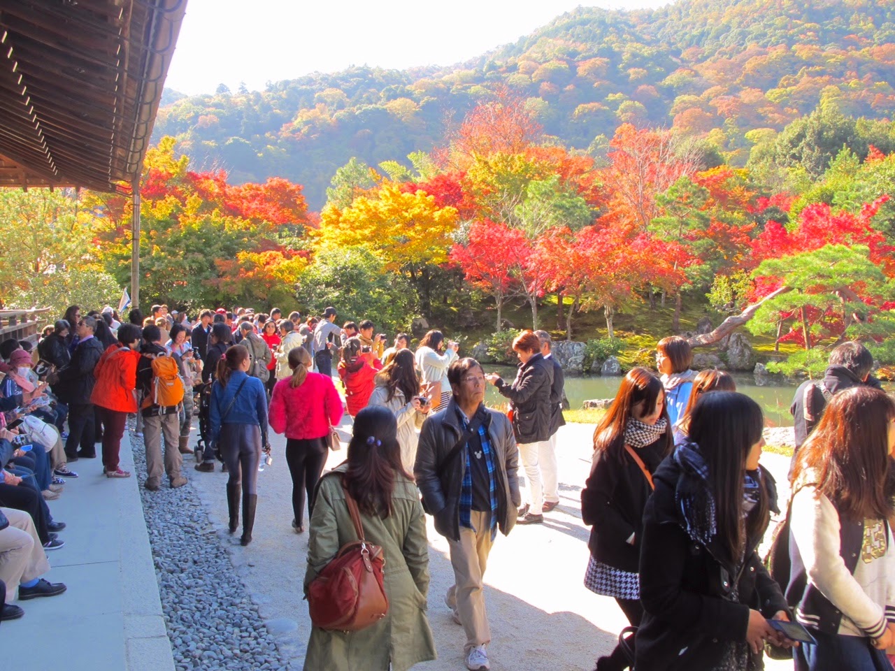Seattle Japanese Garden Community Blog: Japan field trip: all the ...