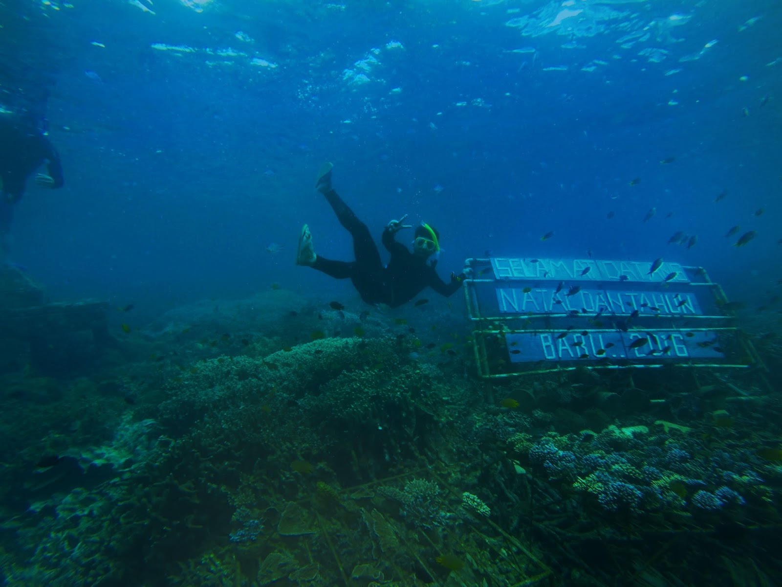 Wisata Pulau Pahawang Pesawaran Lampung Wisata Pulau Pahawang Pesawaran Lampung
