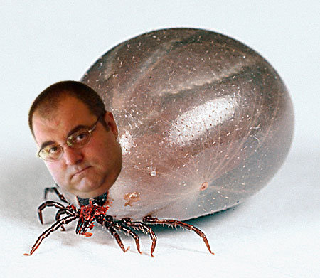 LA VERGÜENZA DE MI FAMILIA: INSECTOS PARASITARIOS AUTÓCTONOS