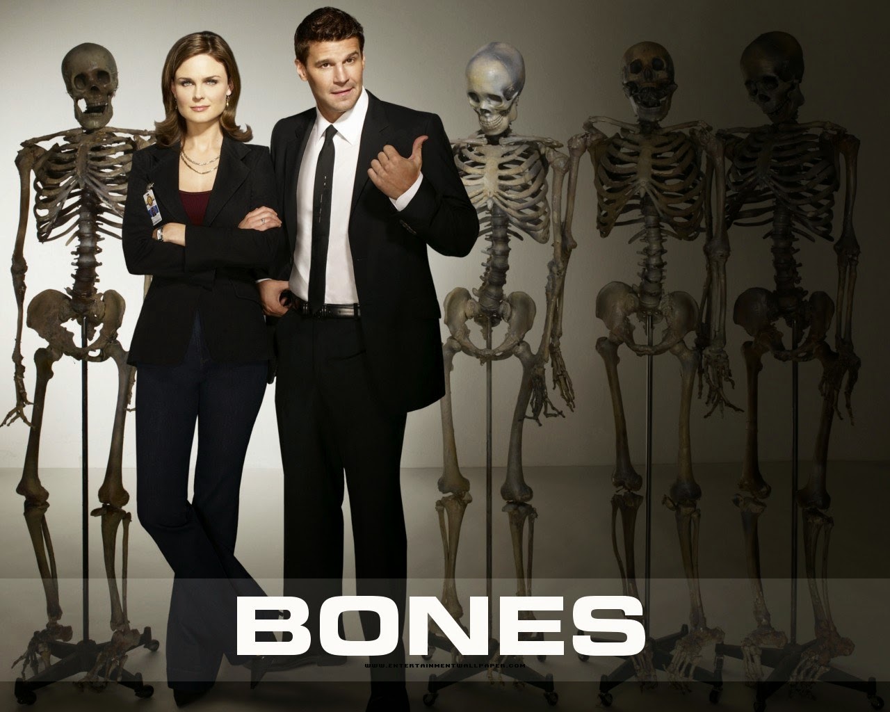 El cajon de sastre de puck: BONES 10X10 THE 200TH IN THE 10TH