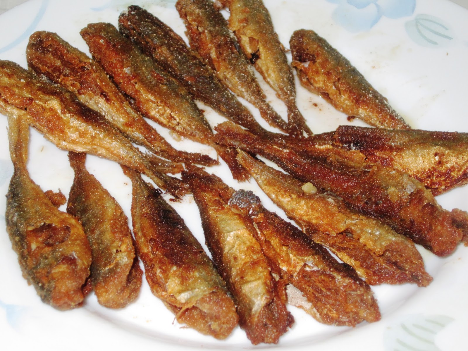 El rincón de Mundín: PESCADOS: EL CHICHARRO O JUREL