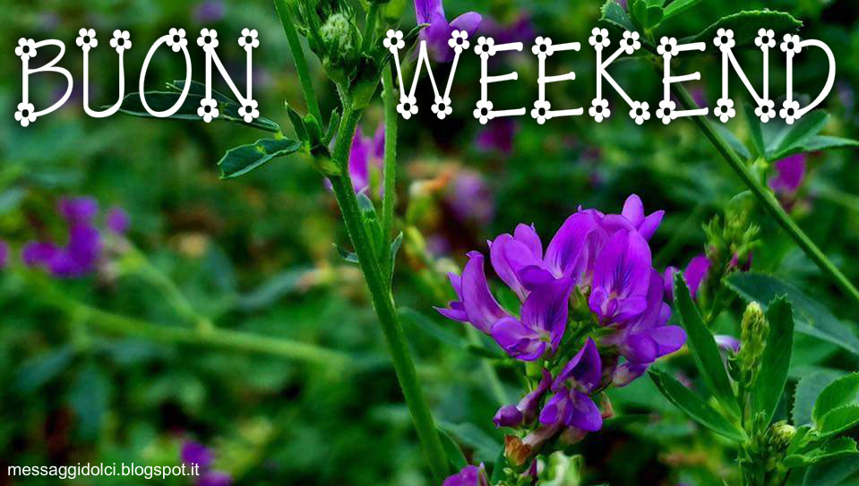 IMMAGINI DI BUON WEEKEND - MESSAGGI DOLCI