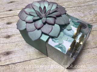 Priscilla's Papercrafts: Succulent Garden