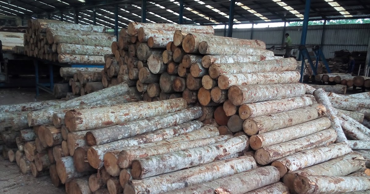 Peredaran Hasil Hutan: Klasifikasi Industri Primer Hasil Hutan Kayu