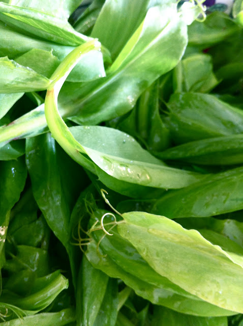 okimakelamb: Recipe #4 - Field Greens - Louvana