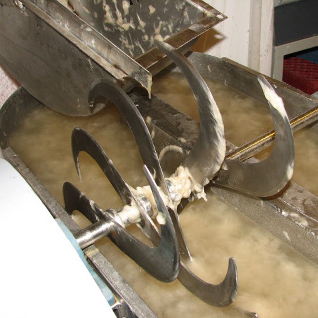 JOANNE RICH | Papermaker and artist: Japanese Papermaking