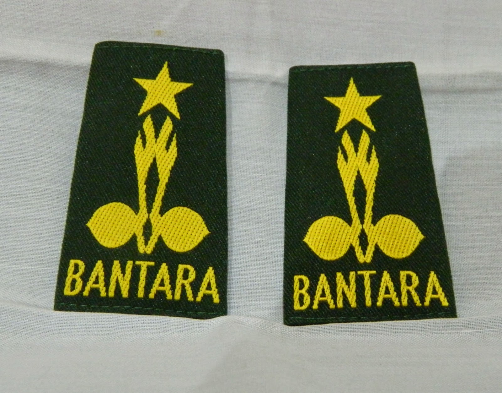 Perkemahan Pramuka BANTARA ~ Monosidikuma