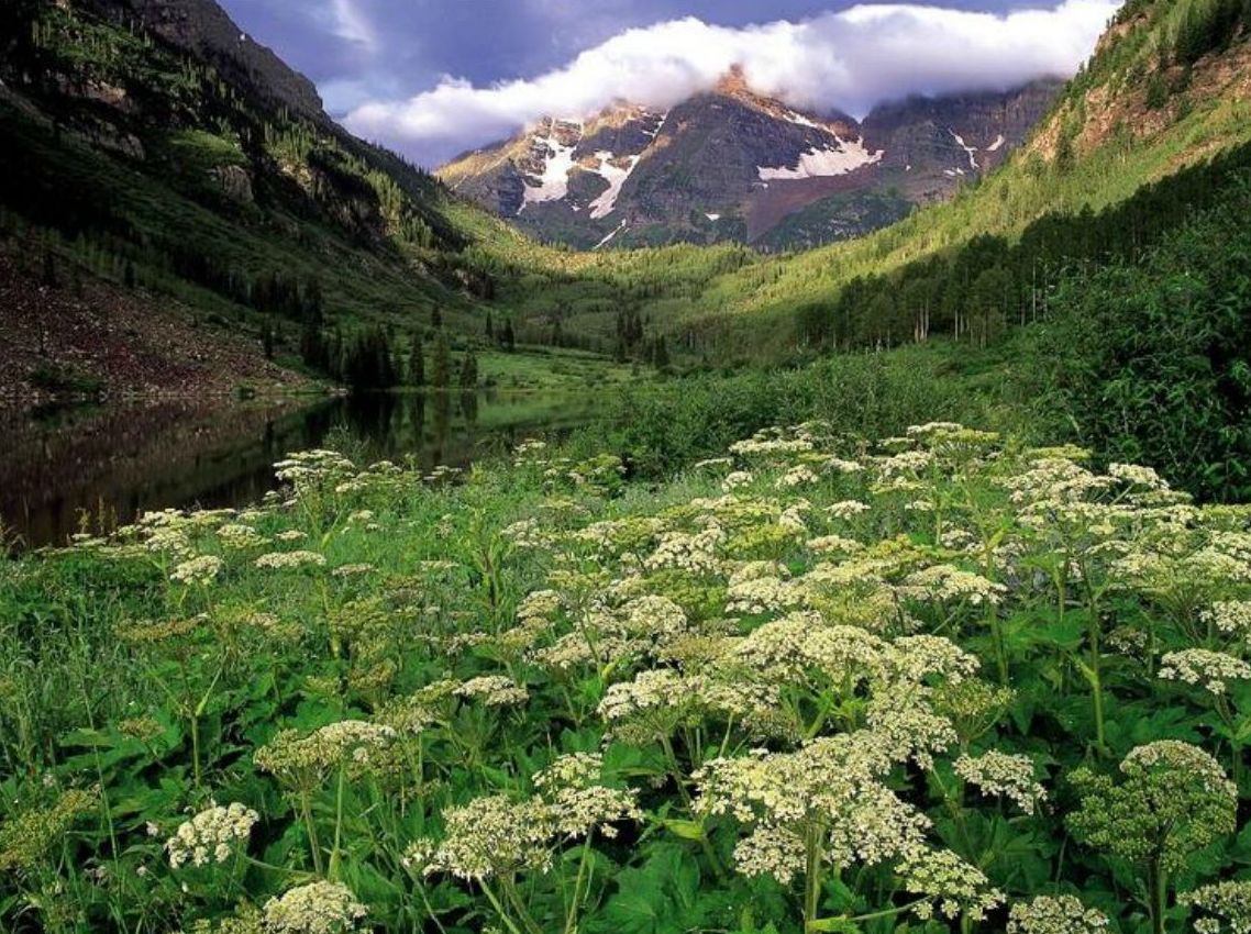 1001Best Galleries: Very Beautiful (Slideshow)