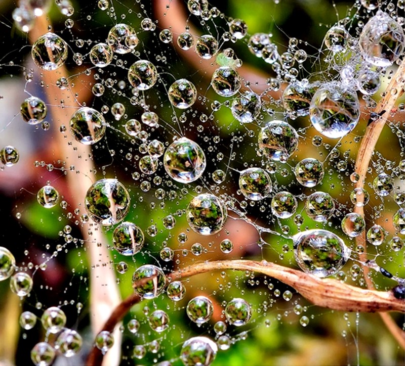 Best WallPapers: Colourful Raindrops Wallpapers