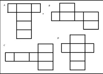 jaring-jaring balok ~ Zona Pengetahuan