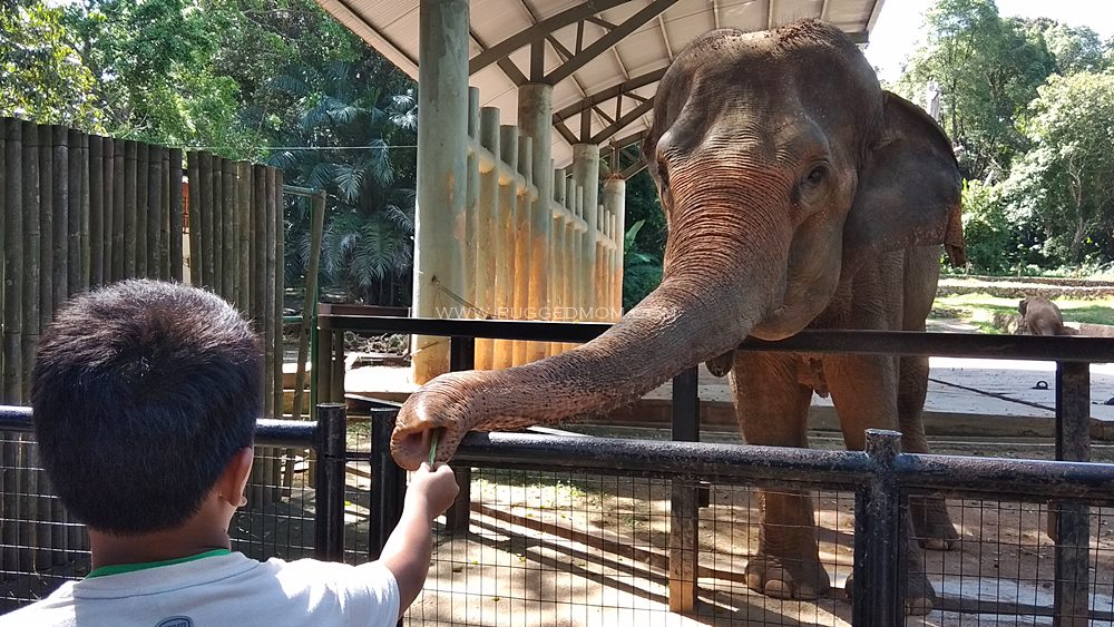Masih menarikkah Zoo Melaka and Night Safari?
