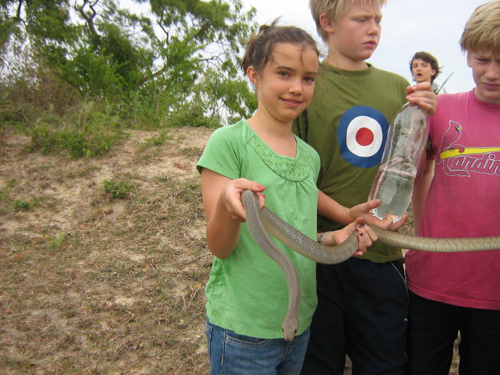 The Gerry Martin Project