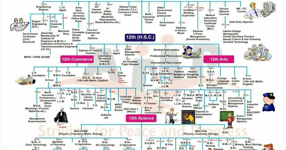 LIBRARY-KV-ITBP-BHANU-PKL-500024/44521: CAREER CHART