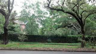 Houston Walks: Rice University Loop