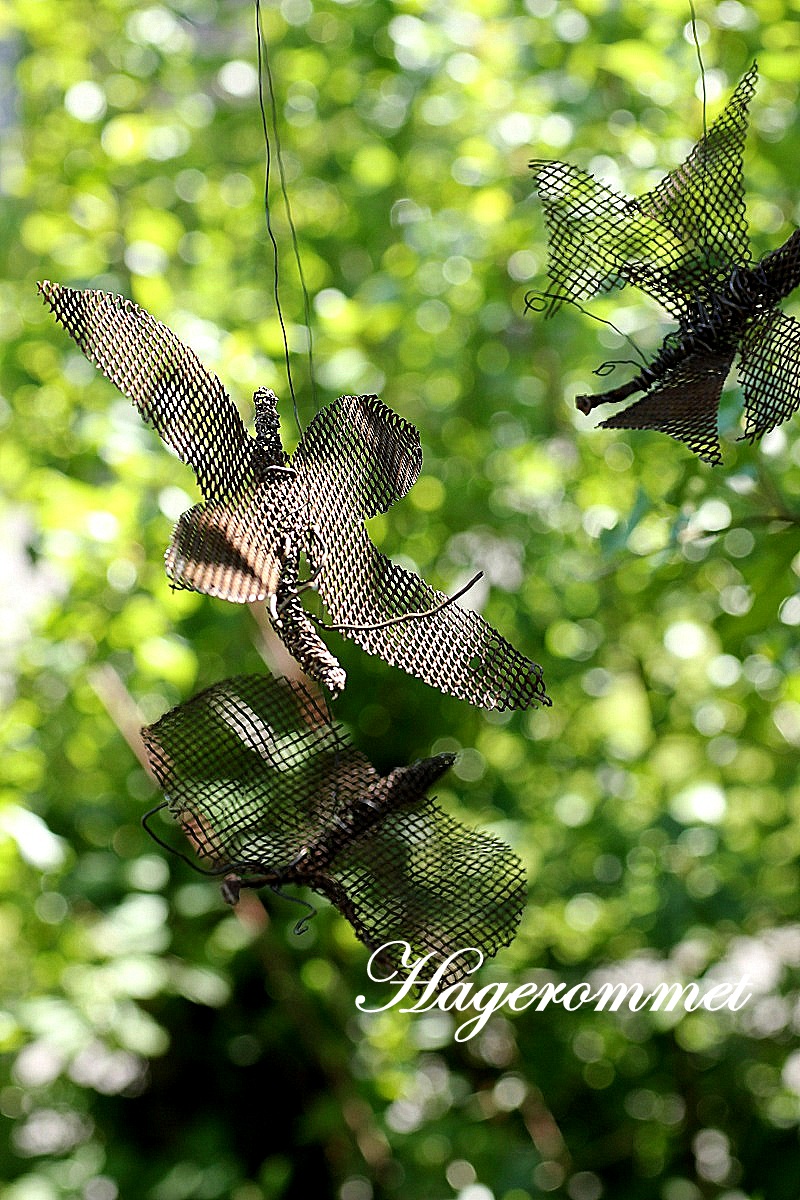 Hagerommet: Store insekter.....