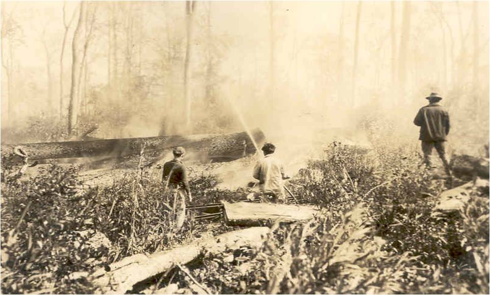 Virginia Wildfire Information and Prevention: A look back in pictures ...