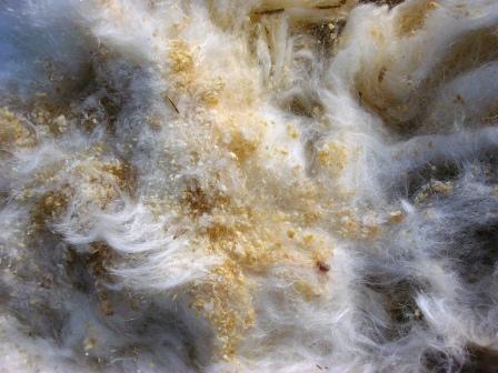 Tales from the Sheep Shed: September 2011