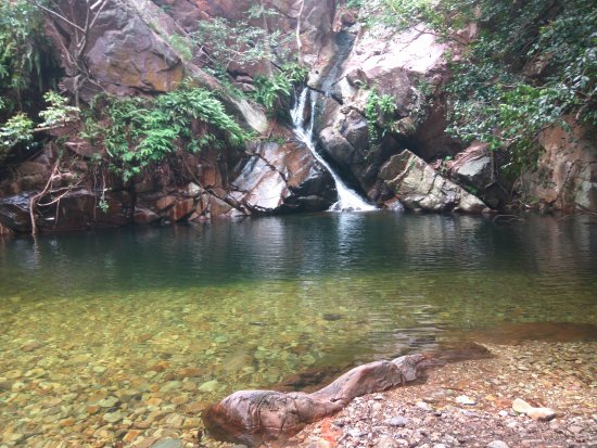 Arai waterfalls(nagalapuram falls)