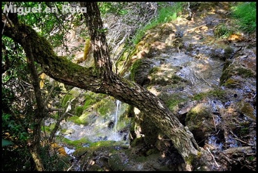 Nacimiento del Río Cuervo: "Monumento Natural"
