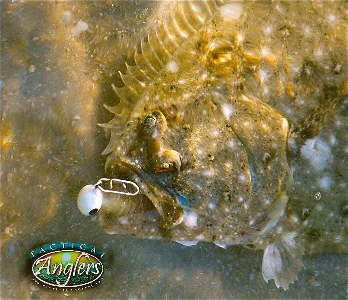 On Foot Angler: Native Tackle - Sebastian