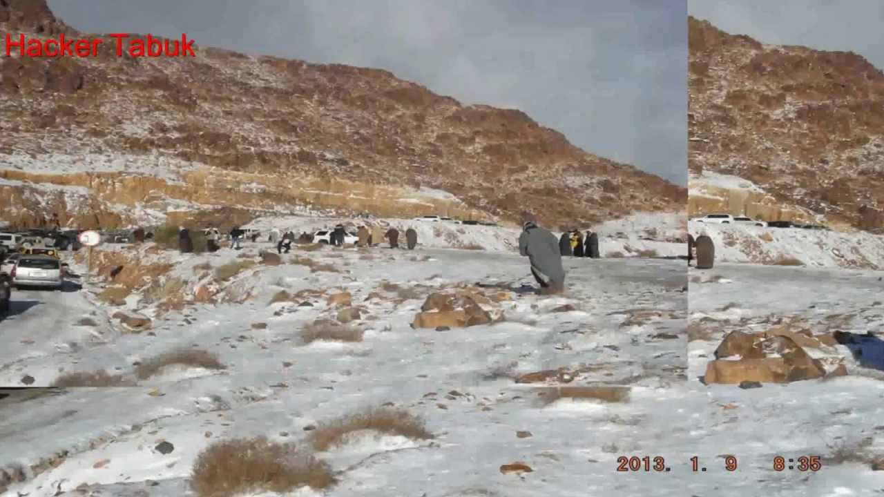 جبل اللوز - Arabic News Collections